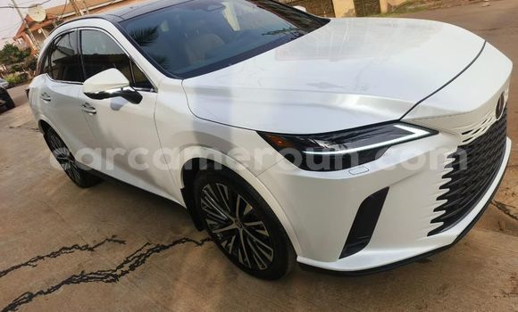 Buy and sell cars, motorbikes and trucks in Cameroun - CarCameroun