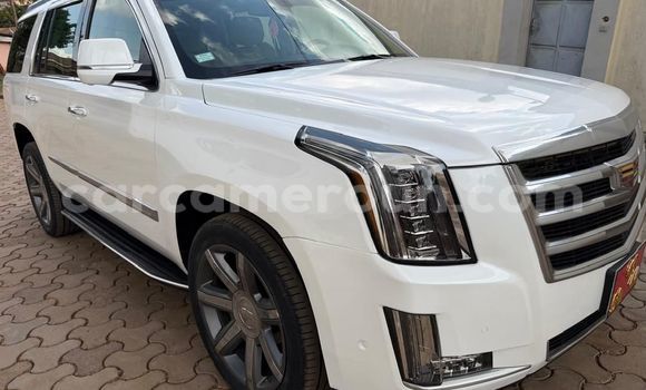 Acheter occasion voiture cadillac escalade blanc à yaoundé, central ...
