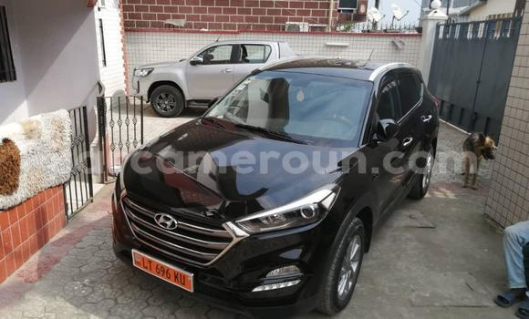 Buy and sell cars, motorbikes and trucks in Cameroun - CarCameroun